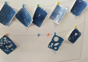 Cyanotype Art - Unveiling the Timeless Beauty of Blue Prints