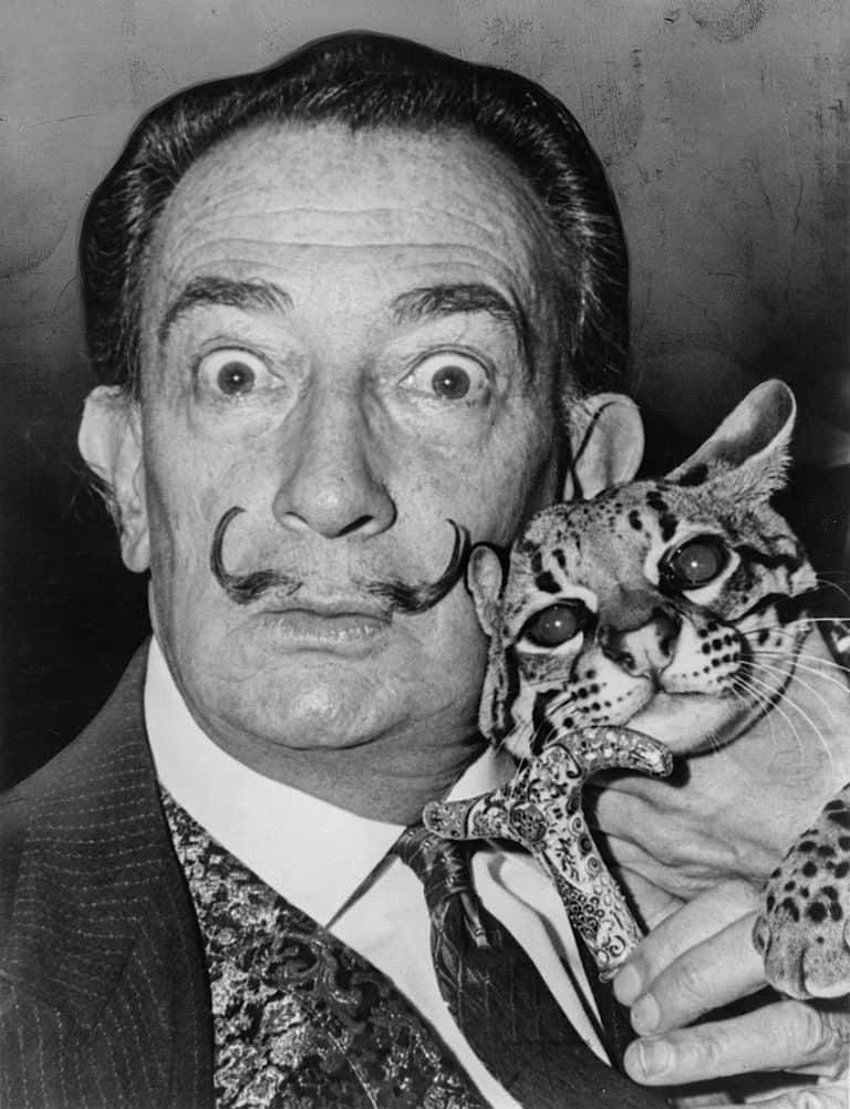 "Dream Caused by the Flight of a Bee" by Salvador Dalí - Analysis
