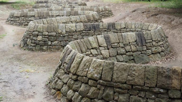 Ephemeral Art - Capturing the Transition of Life in Art