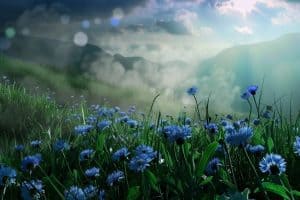 55 Things That Are Blue in Nature - Blue Skies and Beyond
