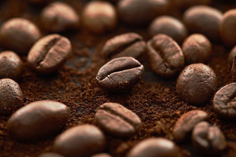 20 Things That Are Brown - Earthy Elegance