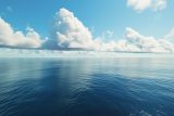 55 Things That Are Blue in Nature - Blue Skies and Beyond