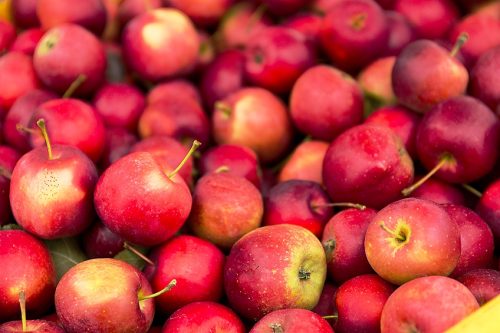 20 Things That Are Red - A Splash of Scarlet
