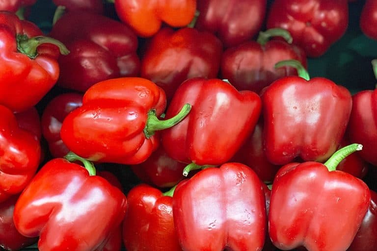 20 Things That Are Red - A Splash of Scarlet