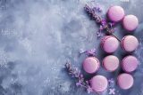 Lilac vs. Lavender Color - Decoding the Color Conundrum