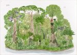 Colombian Artists - A Rich Tapestry of South American Art