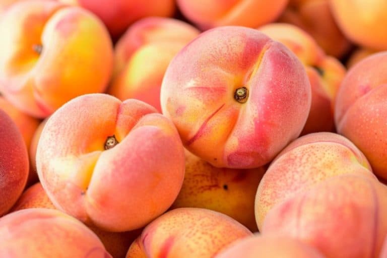 Meaning of the Color Peach - The Mystique of This Gentle Hue