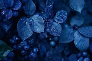 Meaning of the Color Midnight Blue - The Velvet Night