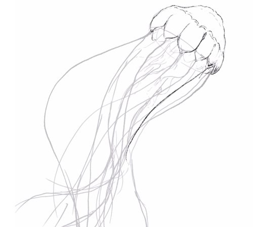 How to Draw a Jellyfish - A Mystical Aquatic Drawing Tutorial