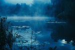 Meaning of the Color Midnight Blue - The Velvet Night