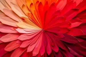 Meaning of the Color Scarlet - A Color Charged With Emotion