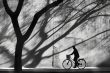 Narrative Photography - Storytelling Through the Lens