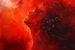 Red Aura Meaning - Exploring the Symbolism