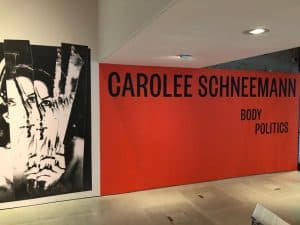 Carolee Schneemann - Integrating the Body into Art