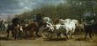 Rosa Bonheur - A Pioneering 19th Century Female Painter