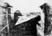 Who Invented the Camera? - Capturing History