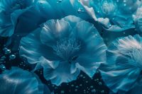 Meaning of the Color Cyan - The Hue of Clarity and Creativity