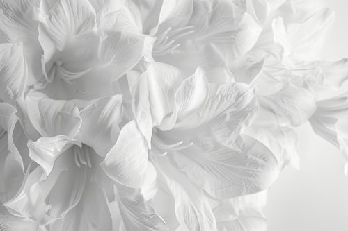 Quotes About White - Inspiring Reflections on the Color of Purity