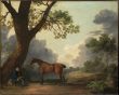 George Stubbs - A Master of Equine Art