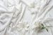 Quotes About White - Inspiring Reflections on the Color of Purity