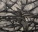 "Gray Tree" by Piet Mondrian - An Abstract Cubist Artwork Analysis