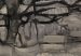 "Gray Tree" by Piet Mondrian - An Abstract Cubist Artwork Analysis