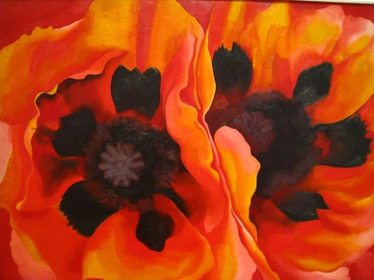 "Oriental Poppies" by Georgia O’Keeffe - A Sensual Artistic Analysis