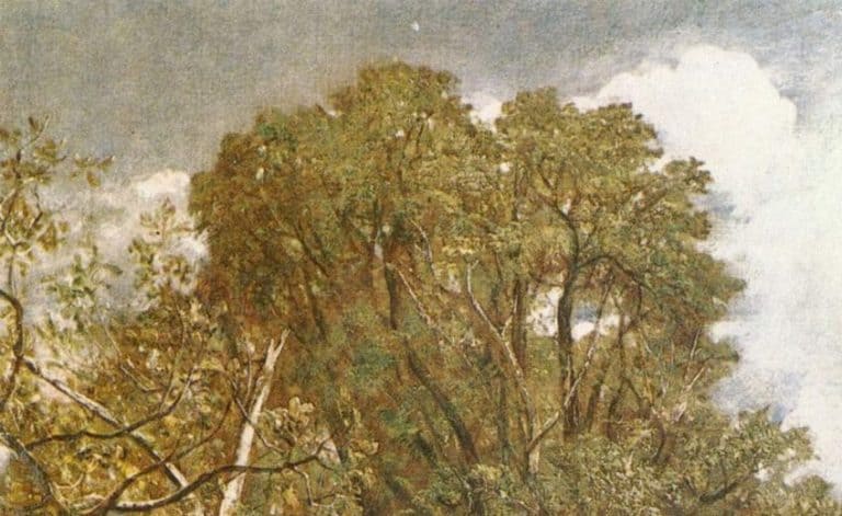"The Cornfield" by John Constable - A Romantic Artwork Analysis