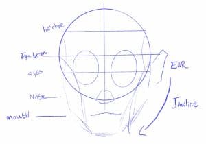 Face Proportions Drawing - Learn How to Create Facial Realism
