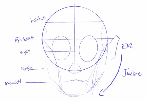 Face Proportions Drawing - Learn How to Create Facial Realism