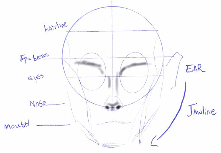 Face Proportions Drawing - Learn How to Create Facial Realism