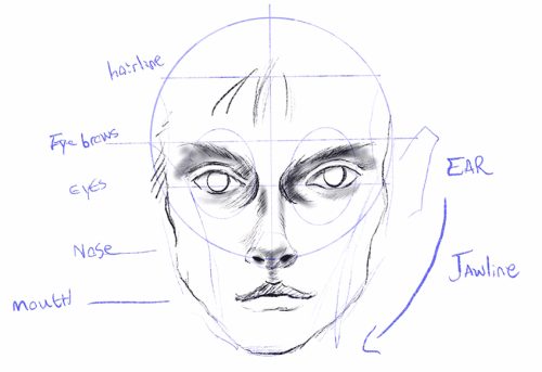 Face Proportions Drawing - Learn How to Create Facial Realism
