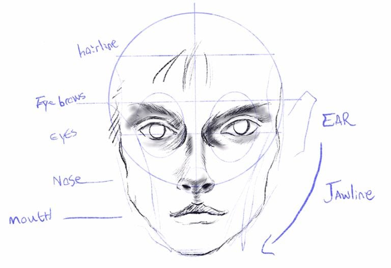 Face Proportions Drawing - Learn How to Create Facial Realism