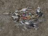 Pollution in Art - Climate Activism Through Artistic Expression
