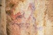 Why Do People Make Art - Exploring Human Expression