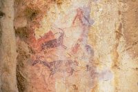 Why Do People Make Art - Exploring Human Expression